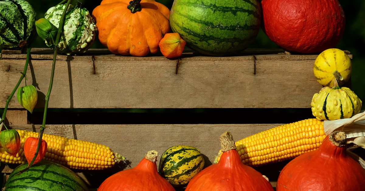 The Thankful Spot - BJU Press Homeschool Blog