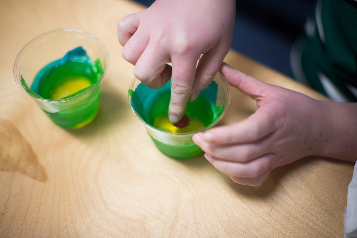 The Microscopic World: Making an Edible Cell Model - BJU Press Blog