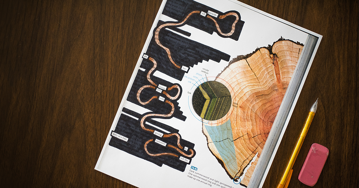 A Blackout Poem Writing Activity - BJU Press Homeschool Blog