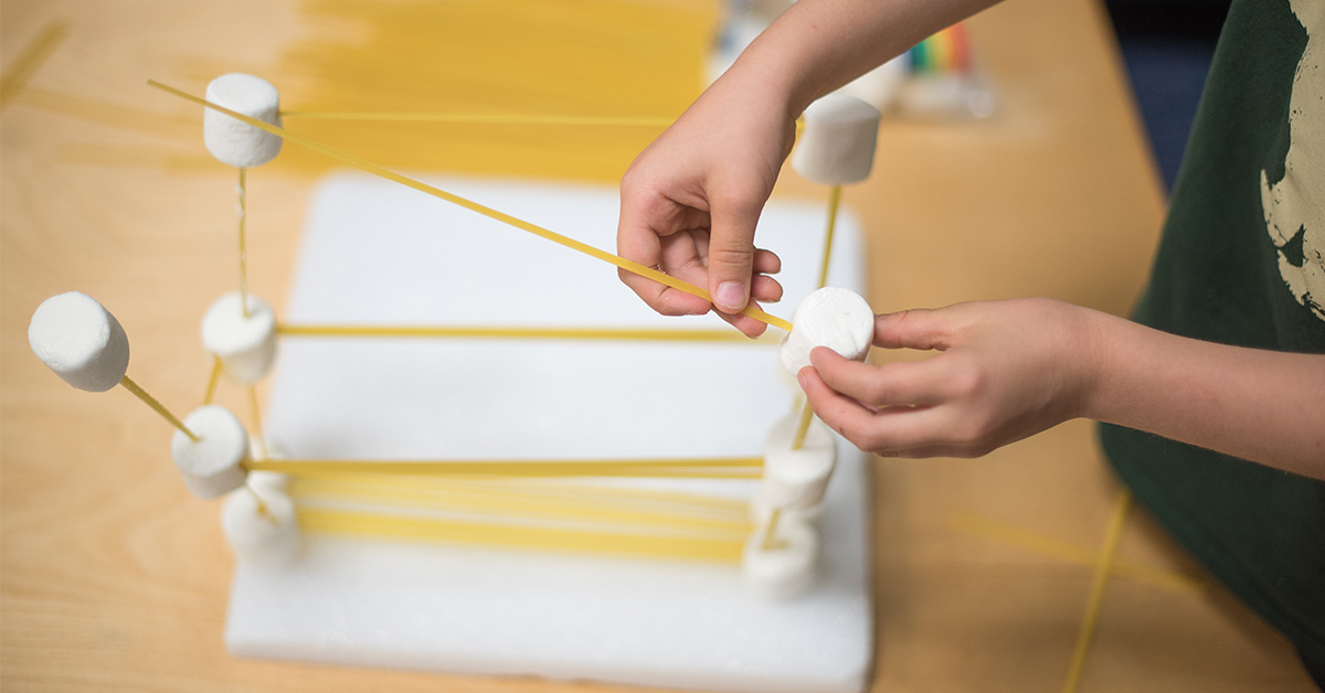 Sixth-Grade Pasta Structure Activity - BJU Press Homeschool Blog