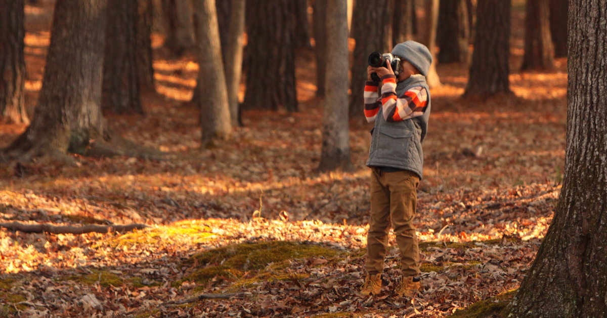 How to Train Young Scientists with Science Hikes - BJU Press Homeschool ...