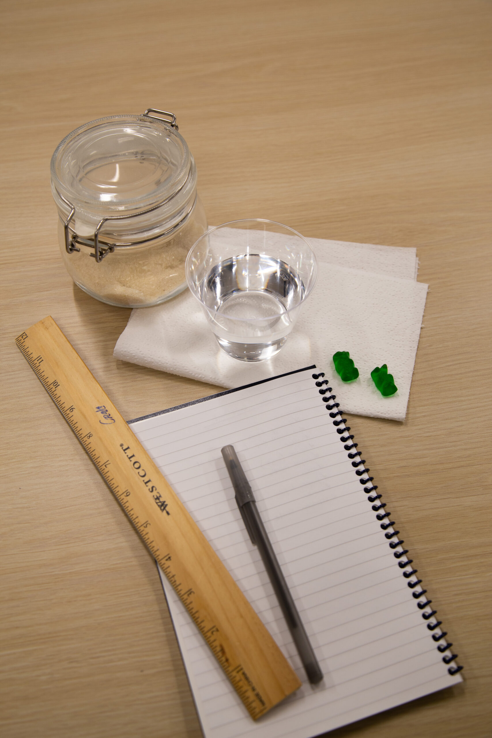 The Gummy Bear Experiment, A Fun, Edible Science Experiment