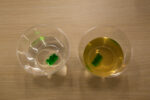 The Gummy Bear Experiment, A Fun, Edible Science Experiment