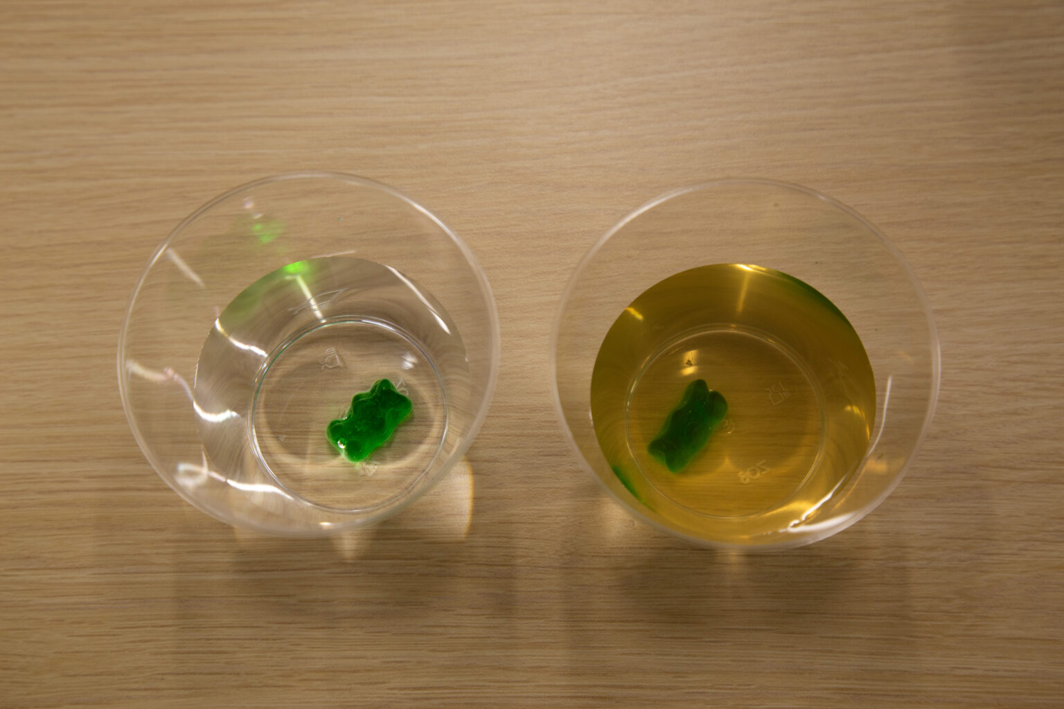 The Gummy Bear Experiment, A Fun, Edible Science Experiment
