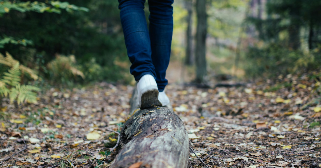 Creating Balance: How to Teach Academics and Life Skills Together